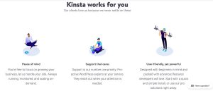 Kinsta Hosting Review 2025: Pros, Cons, Pricing, and Alternatives ...