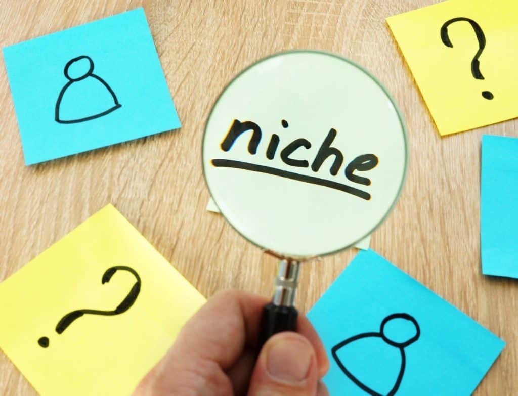 What is Niche Marketing? - The Niche Guru