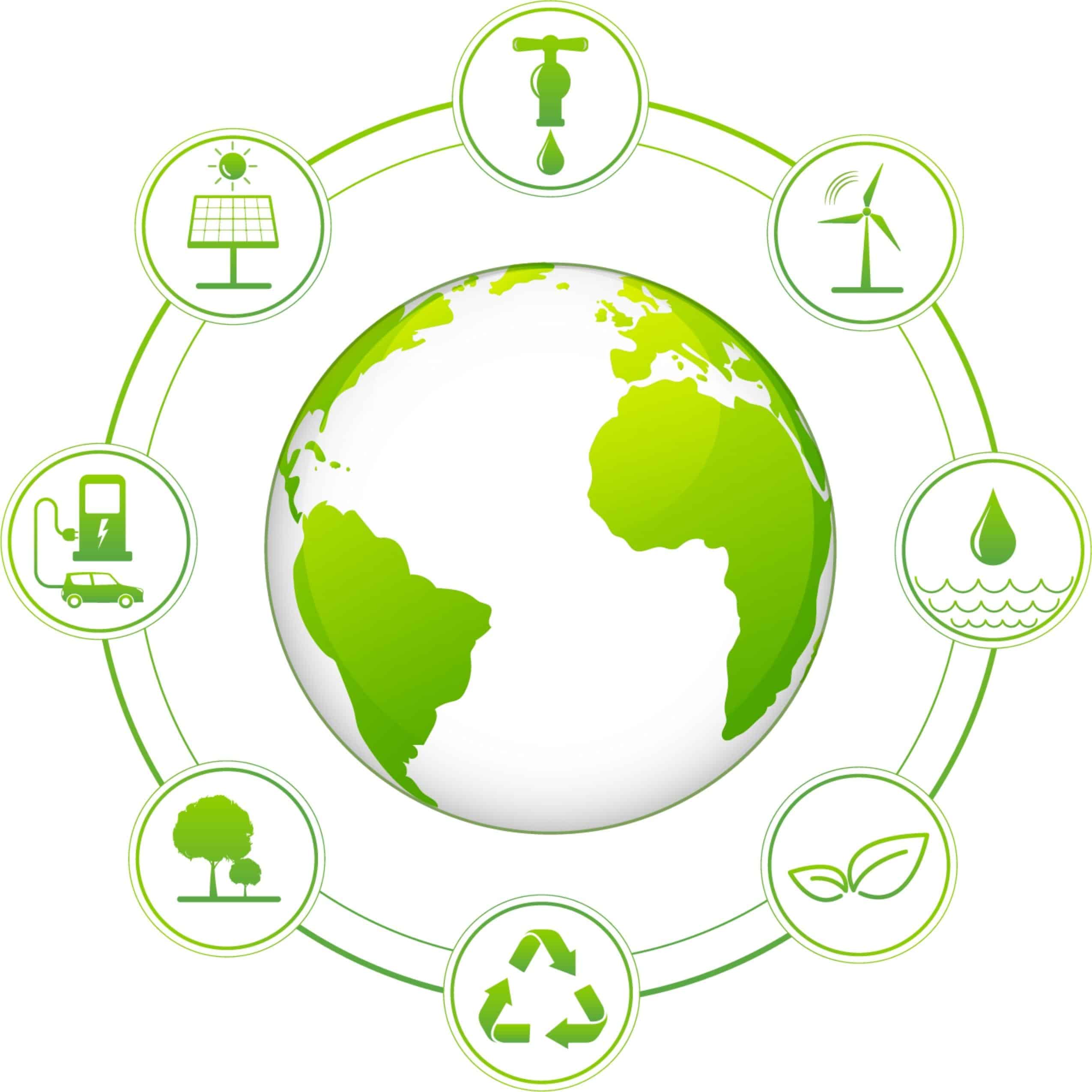 Sustainable Marketing Guide: What Is It and How to Use It - The Niche Guru