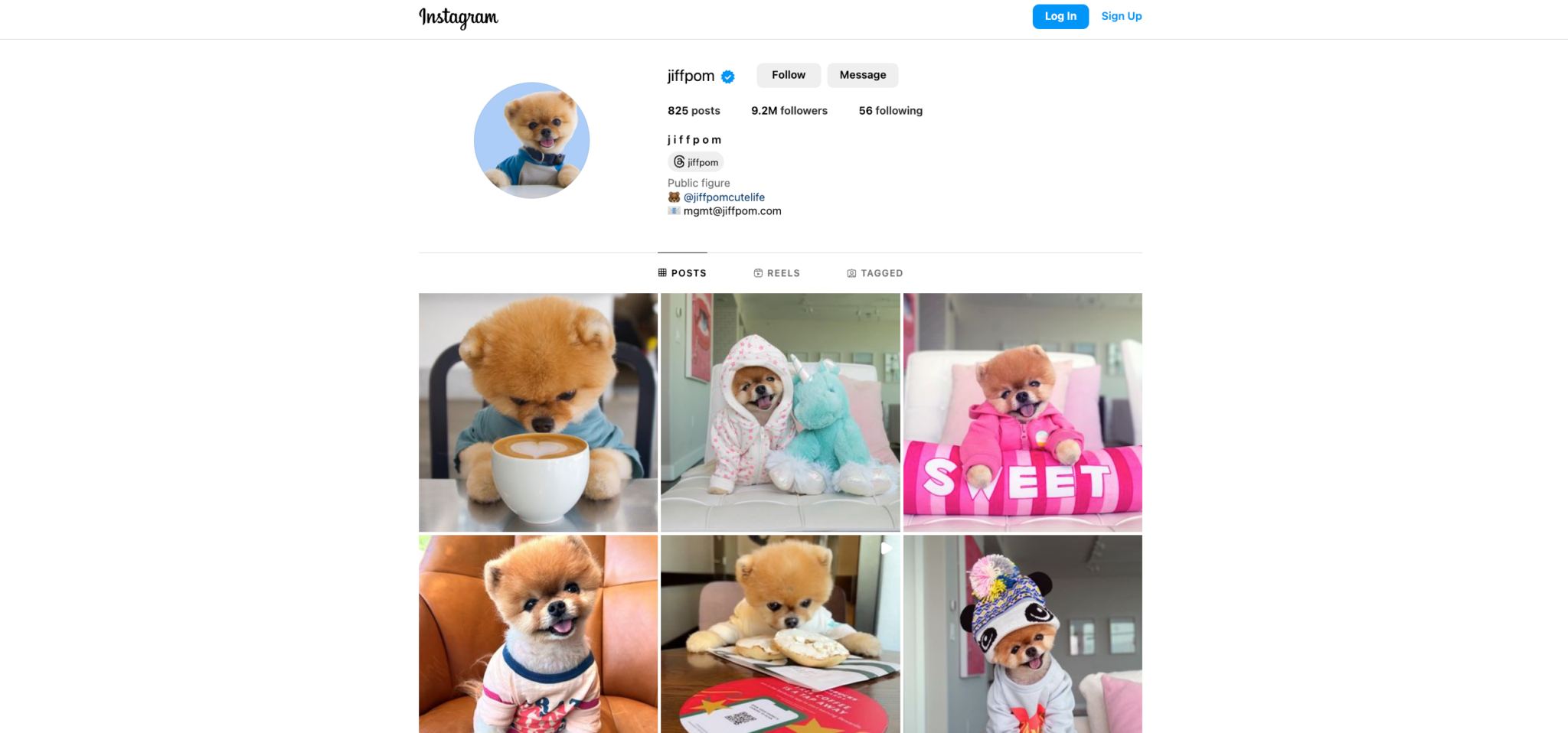 15 Best Faceless Niches for Each Social Media Platform in 2024 - The ...