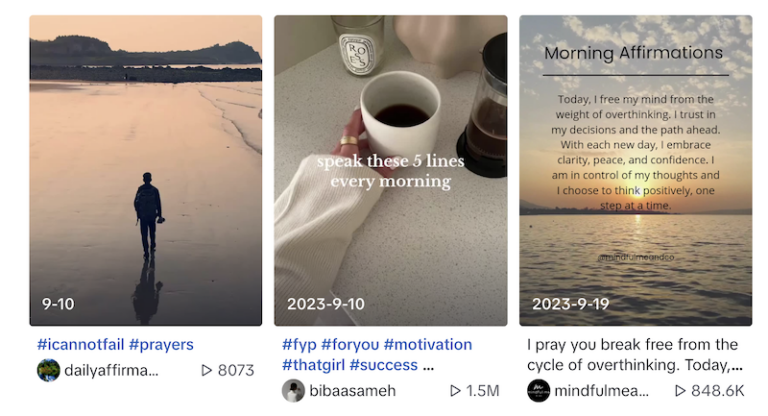 10 Best Faceless TikTok Niches: Skyrocket Your Followers Fast! - The Niche Guru